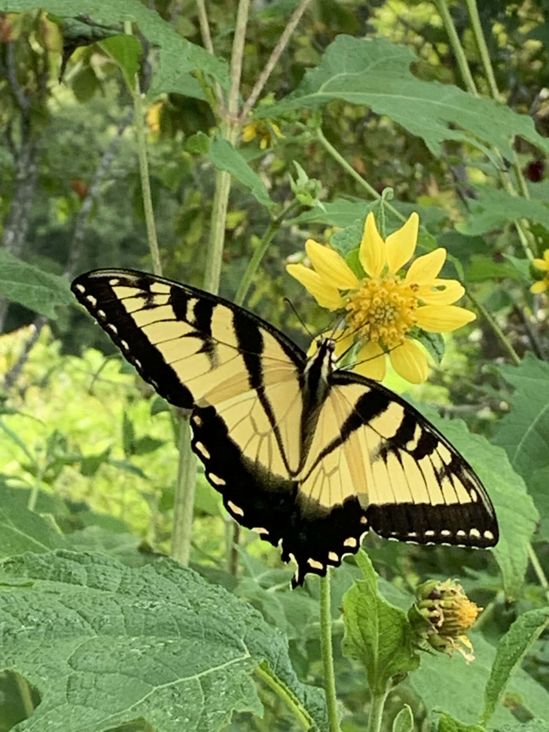 Silent Sanctuary: Reverend Annabelle's Sabbath Retreat | Metro DC - ELCA